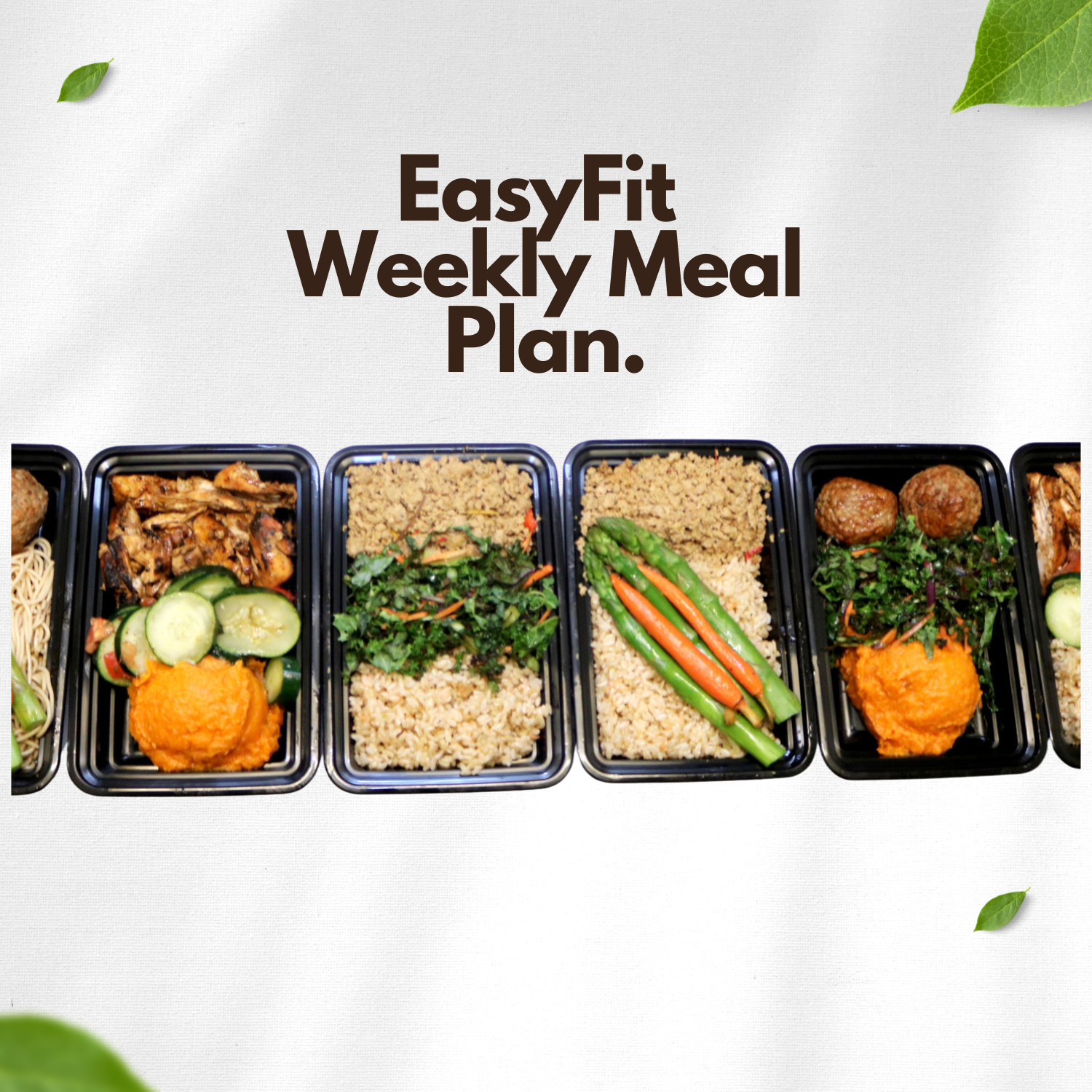 5 Meal Weekly Pack – Easyfit Meals Inc.